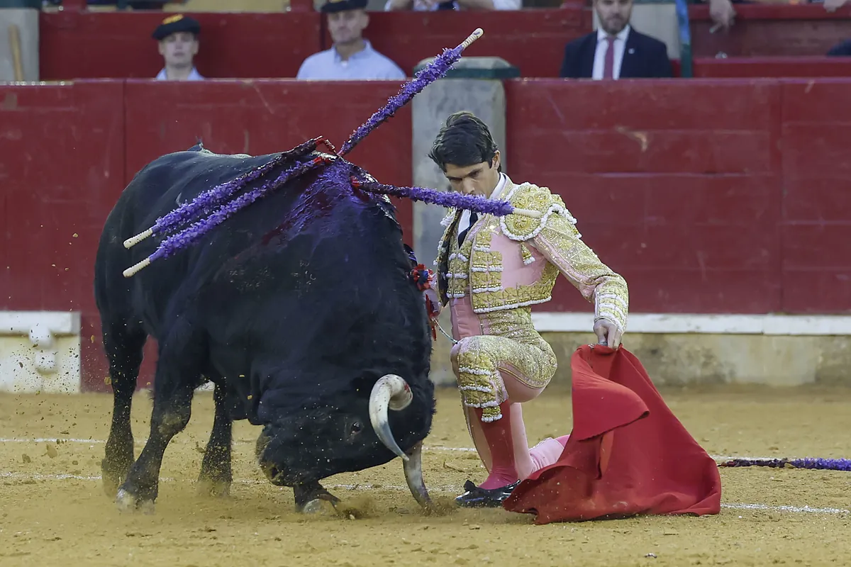 Sebastián Castella sustituye a Morante, que causa baja en Zaragoza | Toros
