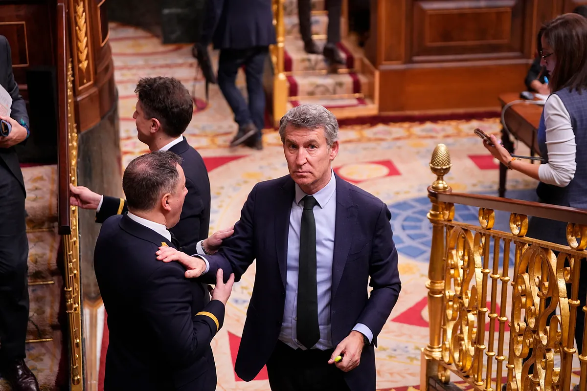 El PP se pone al frente del 'no' a la regularización de inmigrantes y ...